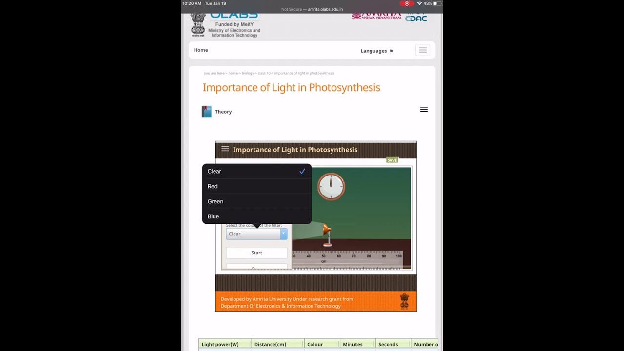 Photosynthesis’s virtual lab - YouTube