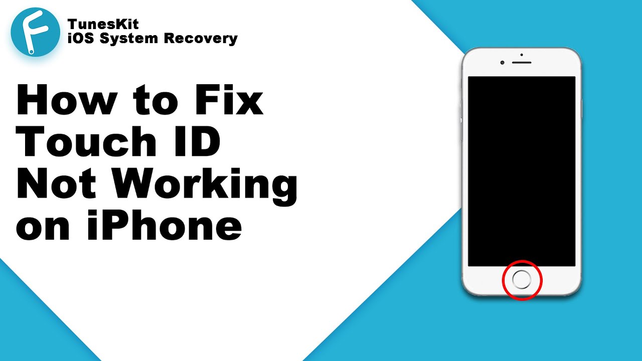 How to Fix Touch ID Not Working on iPhone - YouTube