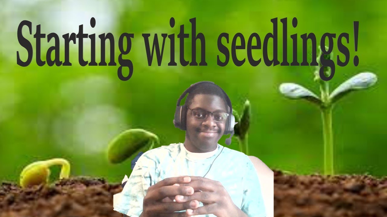 Austinator06302012 Plays Big Tree Defense Episode #1 Starting with ...