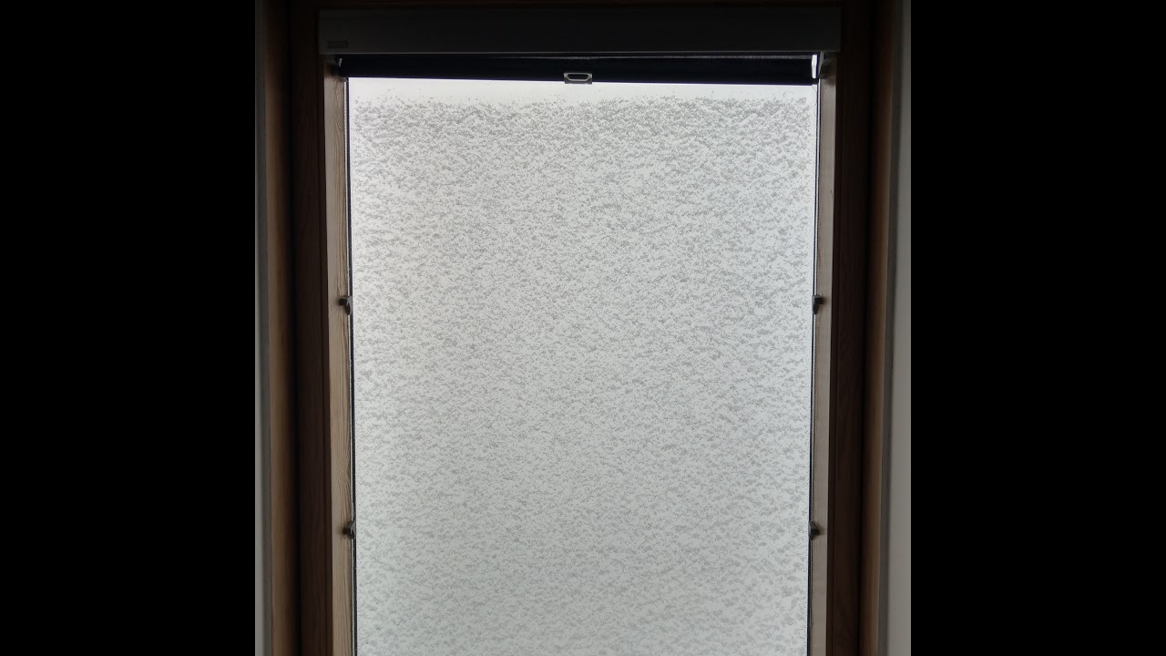 Shon Don Live Stream - YouTube