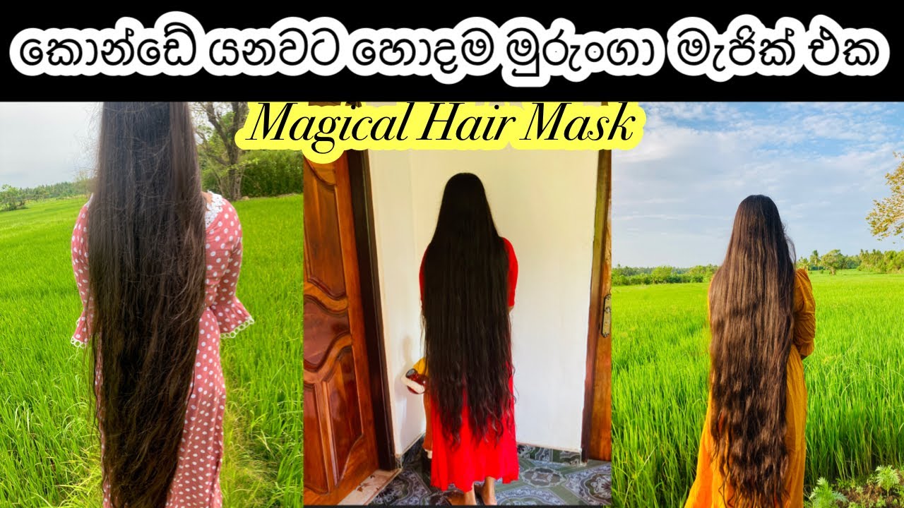 Moringa Hair Mask | මුරුංගා කොල සත්කාරය | Moringa for hair growth # ...