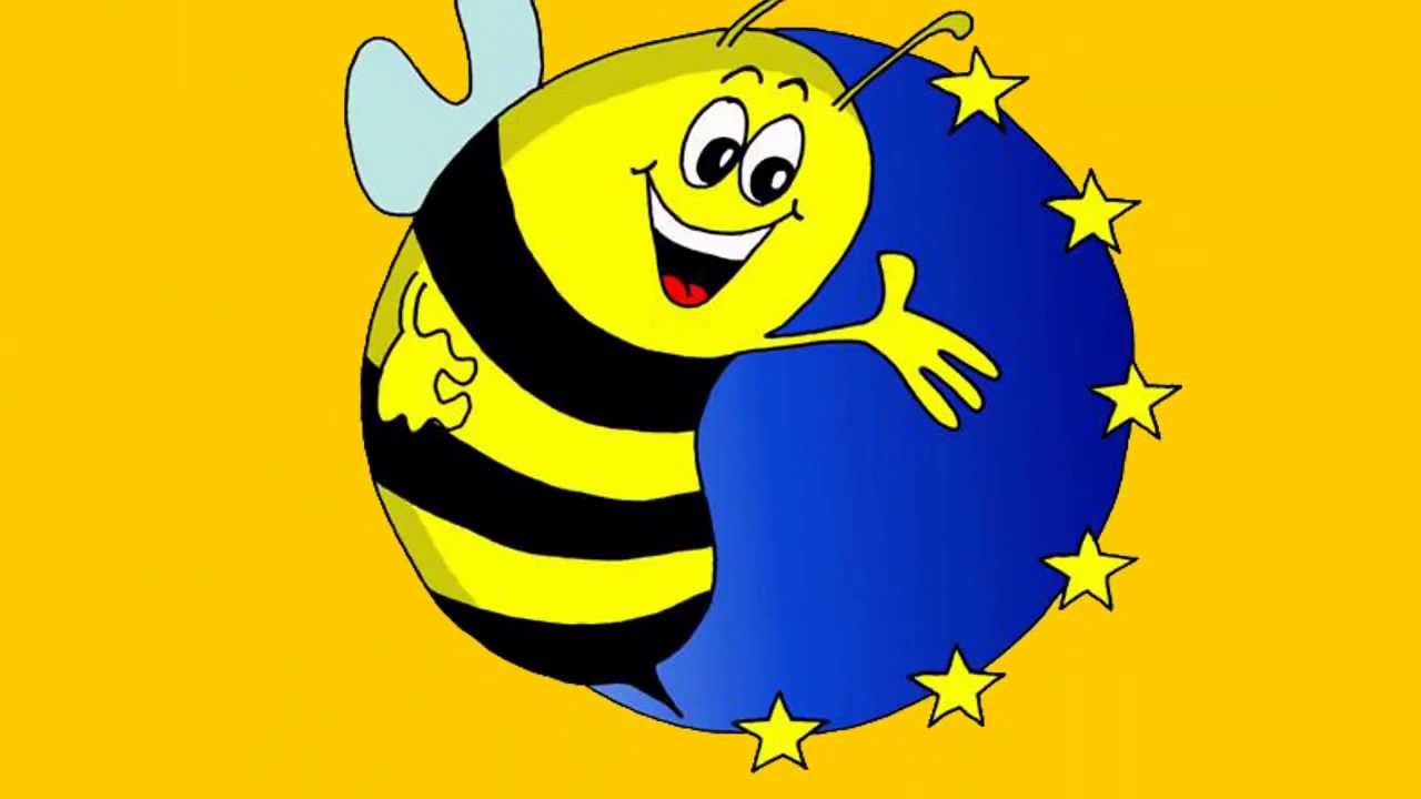 Spelling Bee Introduction - YouTube