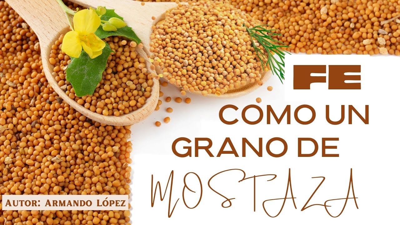 Fe Como un Grano de Mostaza | Armando Lopez - YouTube
