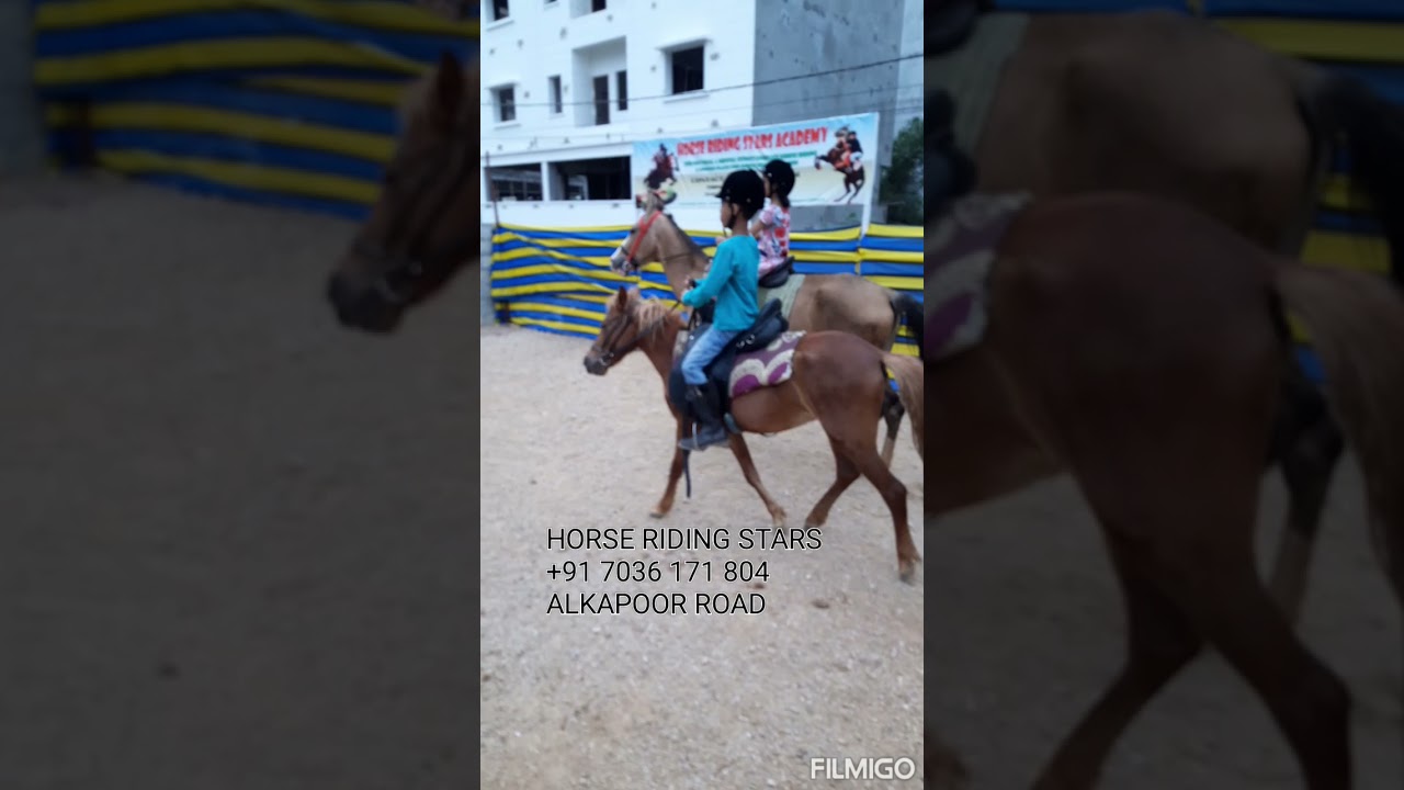 double horse riding Joy - YouTube