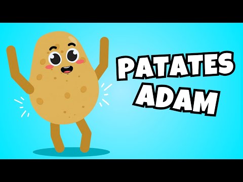 Patates Adam Dansı 🥔 Haraketli Çocuk Şarkıları 🎶 Animasyon İzle