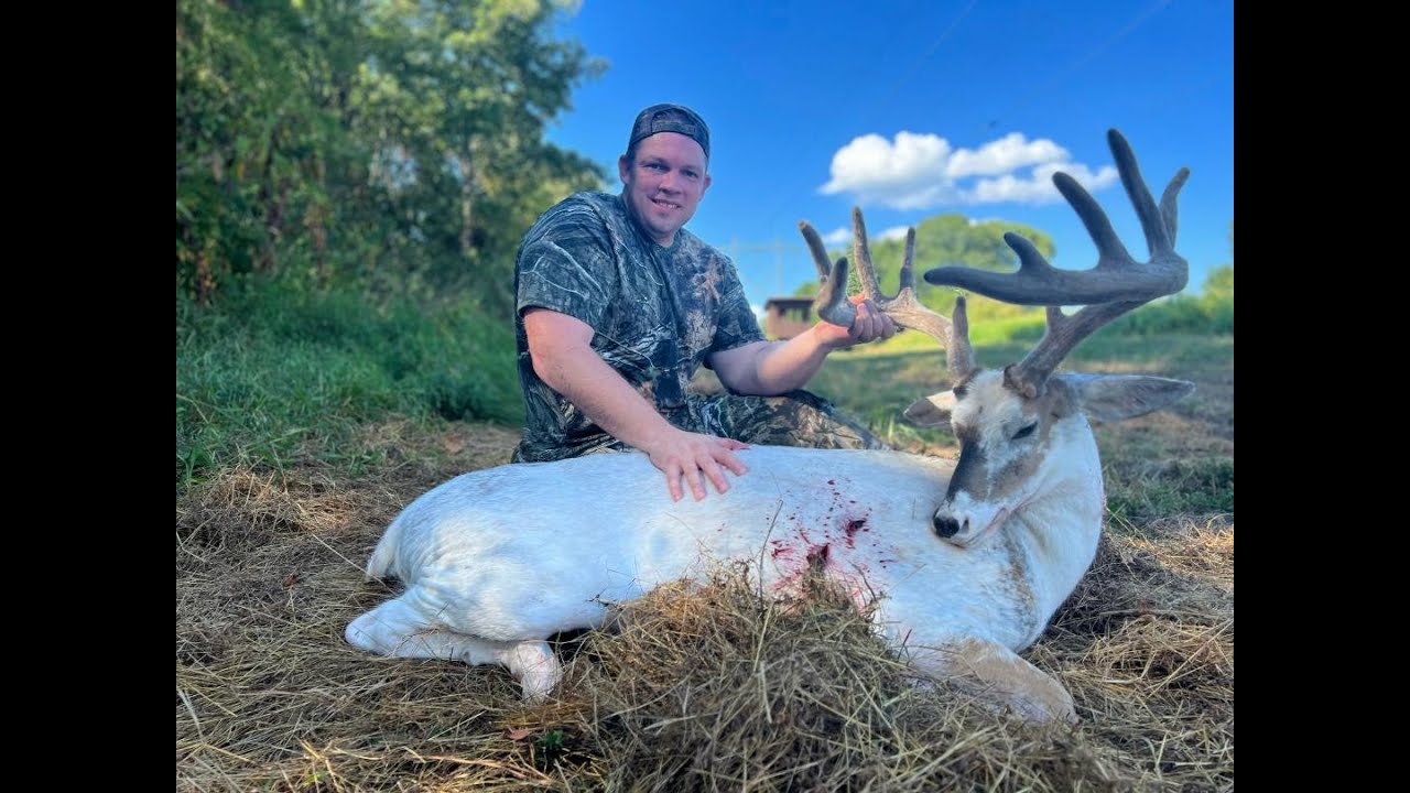Hunting a 160 class piebald whitetail. Follow up shot.. Deer hunting ...