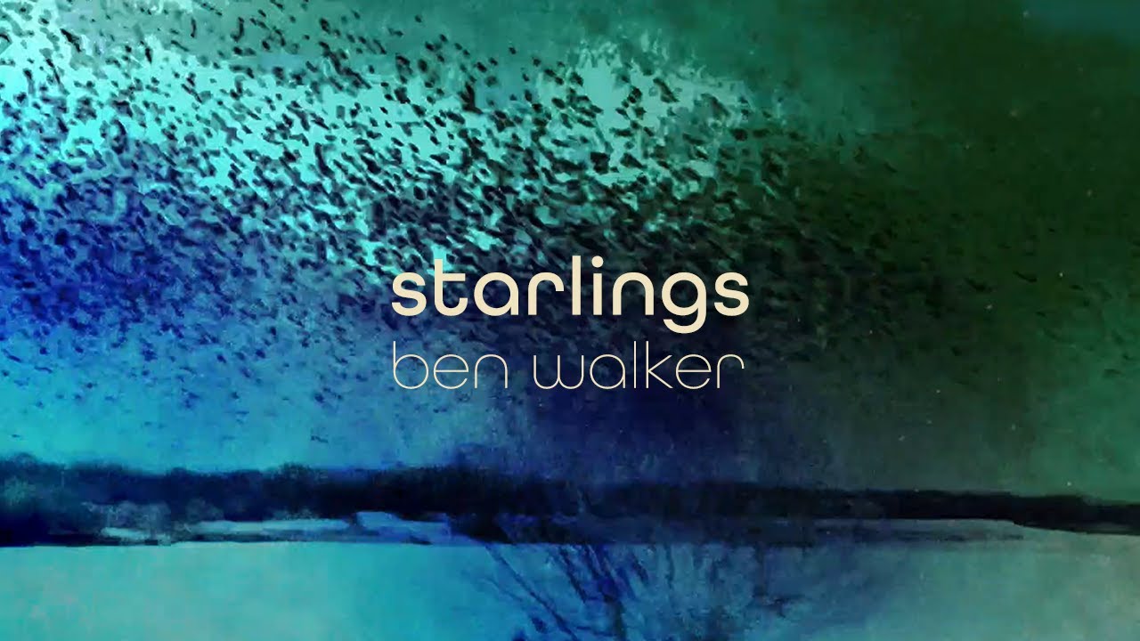 Ben Walker - Starlings - YouTube