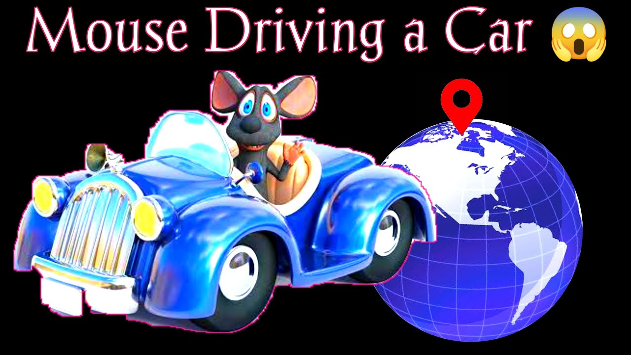 Funny Mouse Driving a Car | Fine Earth (Explore) - YouTube