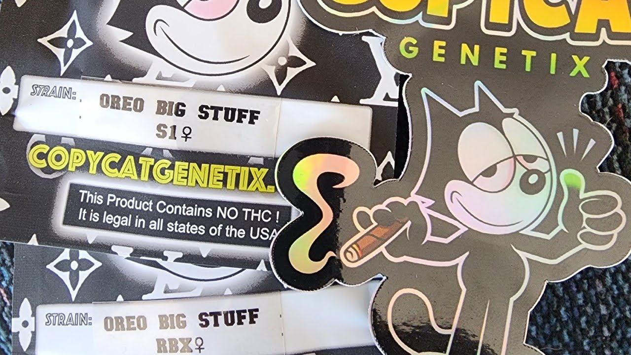 Coming soon!! Copycat Genetix. Oreo big stuff s1 vs Oreo big stuff Rbx ...