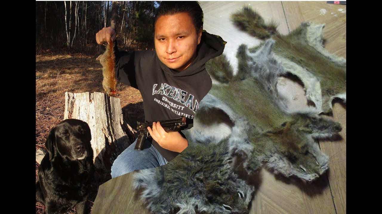 Preserving Squirrel Hide/Pelts- Squirrel Hunting - YouTube