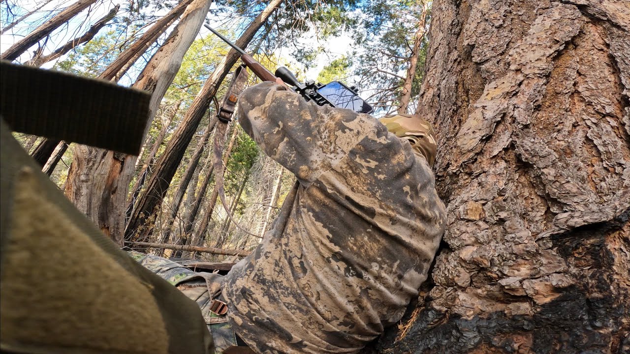 Squirrel hunting d8 tua nas 11-6-22 - YouTube