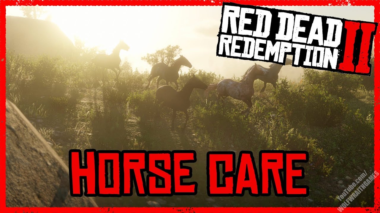 Horse Care and Maintenance - Red Dead Redemption 2 - Horse Guide (PS4 ...
