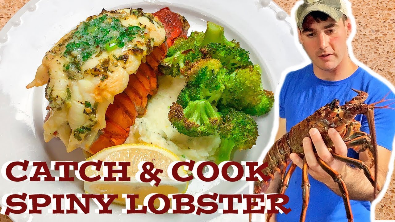 ROASTED LOBSTER TAIL | CATCH AND COOK SPINY LOBSTER - YouTube