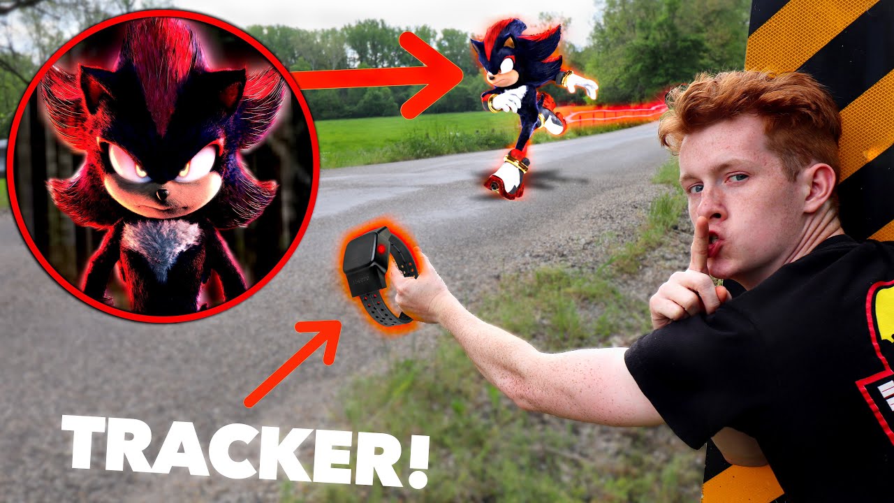 I TRACKED SHADOW THE HEDGEHOG IN REAL LIFE!! *Where Did He Go?* - YouTube