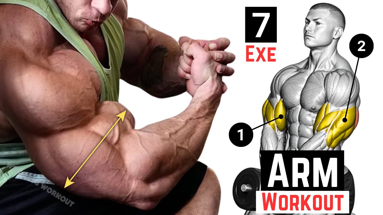 Best Arm Workout for Bigger Biceps and Toned Triceps - YouTube