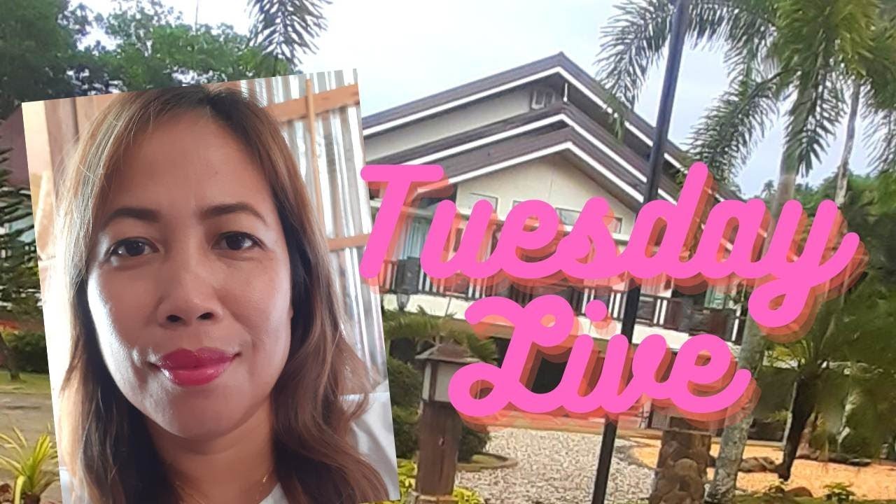 Tuesday Livestream - YouTube