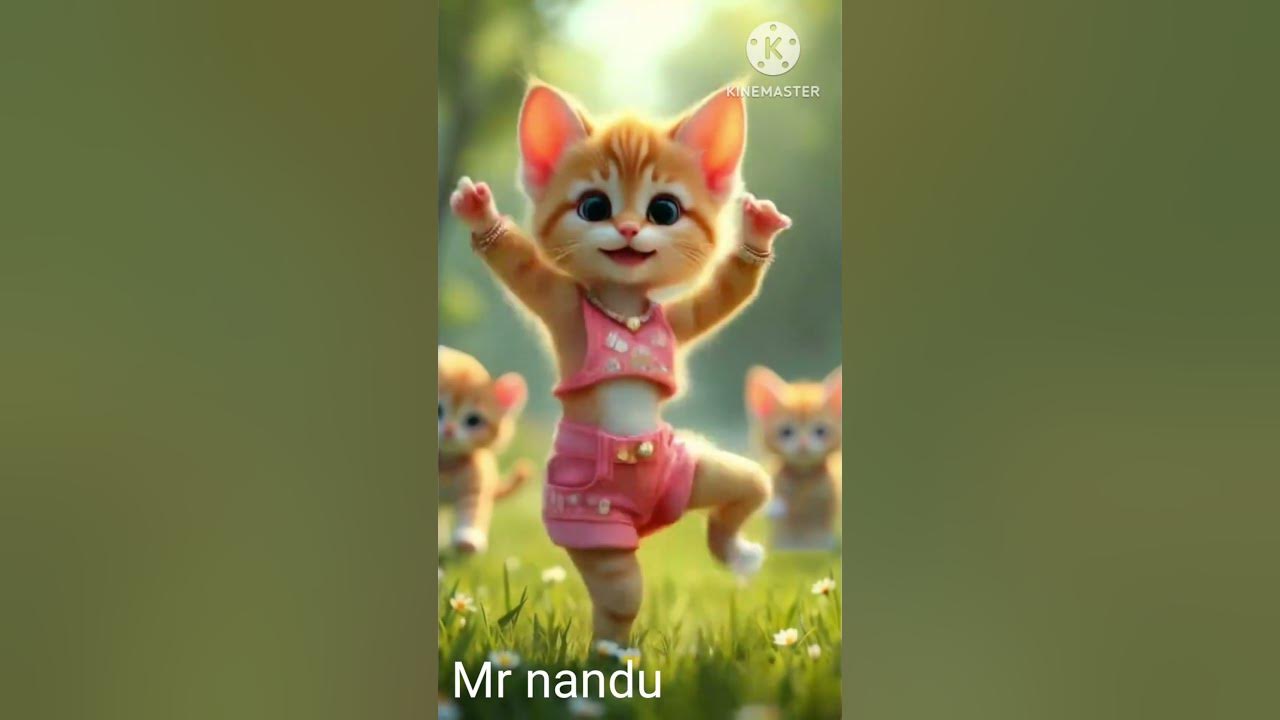 Mr Nandu cat funny dance didiya ke Devra - YouTube