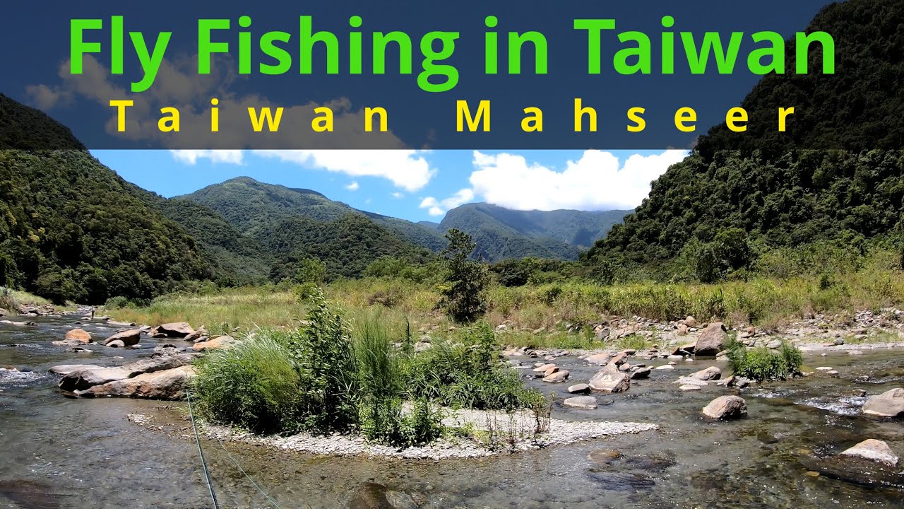 Fly Fishing in Taiwan for Taiwan Mahseer, Summer 2024 - YouTube