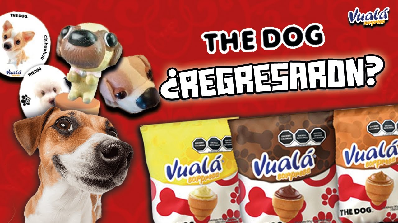 REGRESÓ The Dog a Vualá! 🔥 ¿OTRA VEZ? Vualá Sorpresa - YouTube