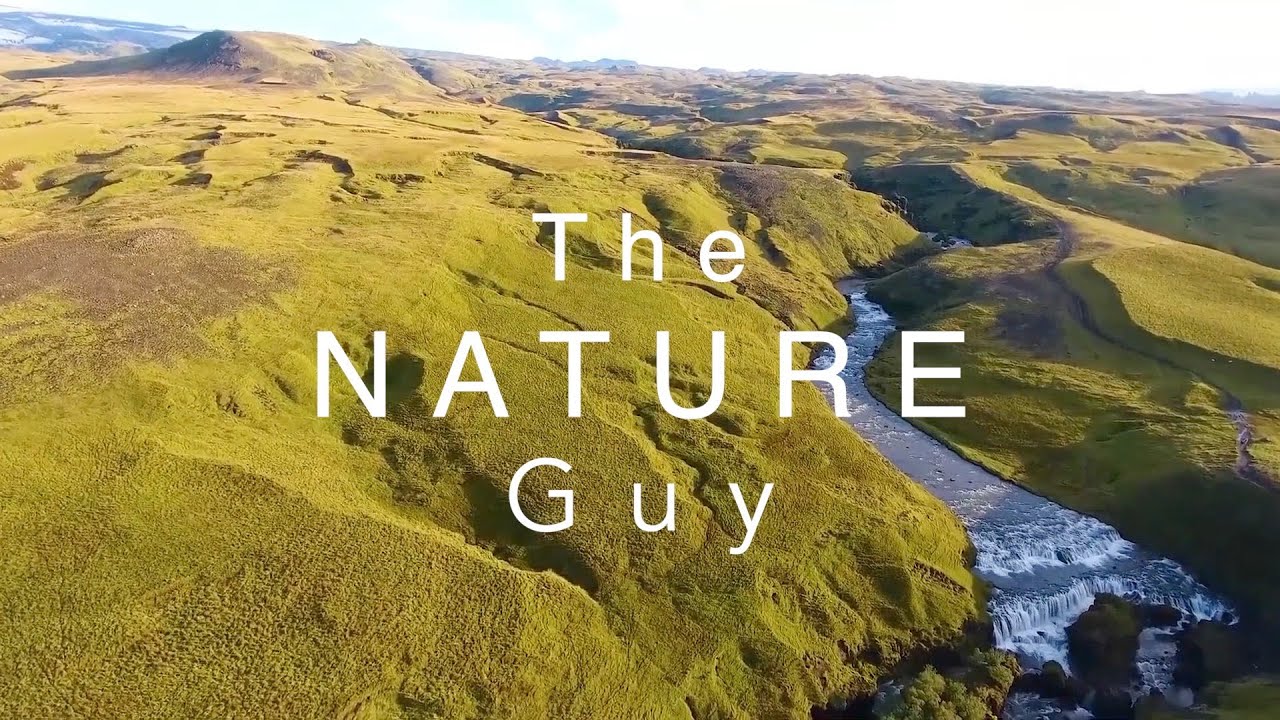 The Nature Guy Coming Soon - YouTube