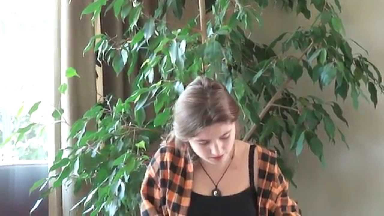 Robin Maas - Why the Trees grow - YouTube