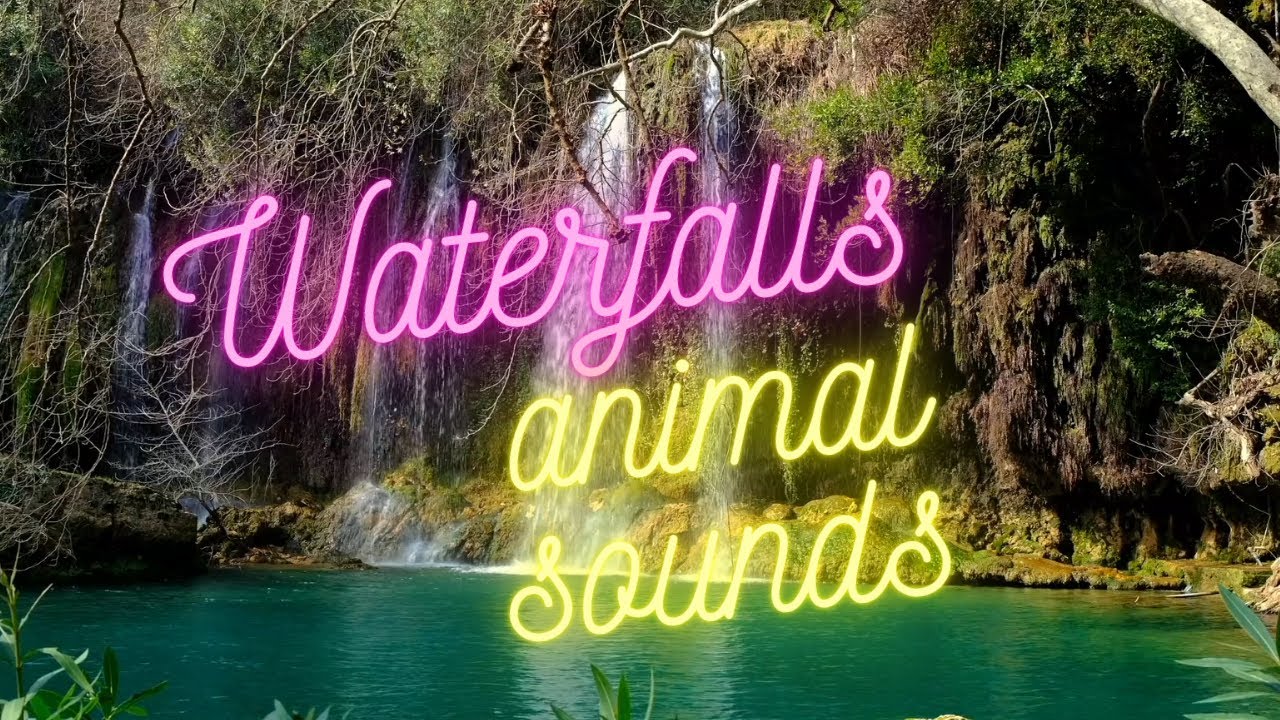Natura sound - Waterfalls and animal sounds, Cachoeiras e sons de ...
