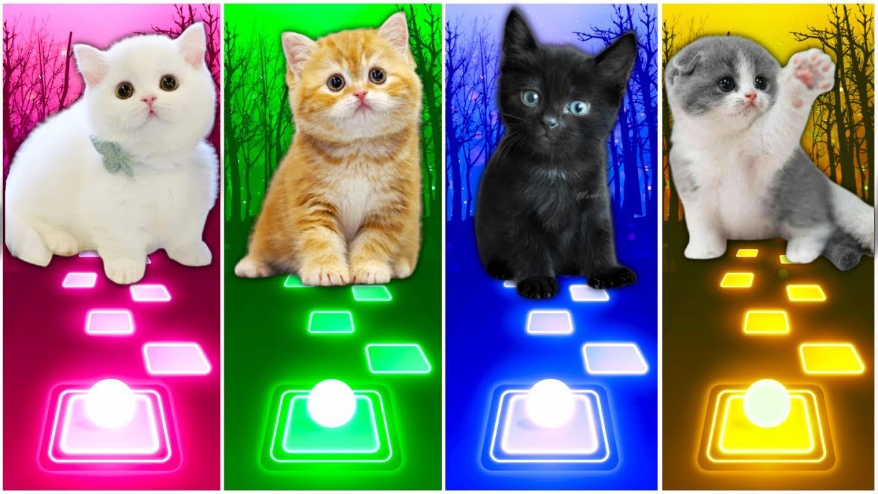 Cute Cats - Jennie Solo vs Imagine Dragons Bones vs Unholy vs Pink ...