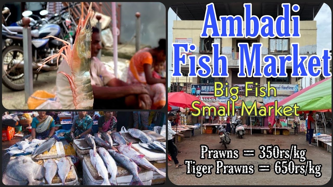 Vlog : Ambadi Fish Market 🐟 Small Place But Big Size Sea Food ...
