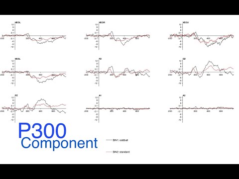 P300 Component EEGLab - YouTube