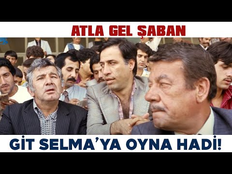 Atla Gel Şaban Türk Filmi | Niyazi Taktik Veriyor!