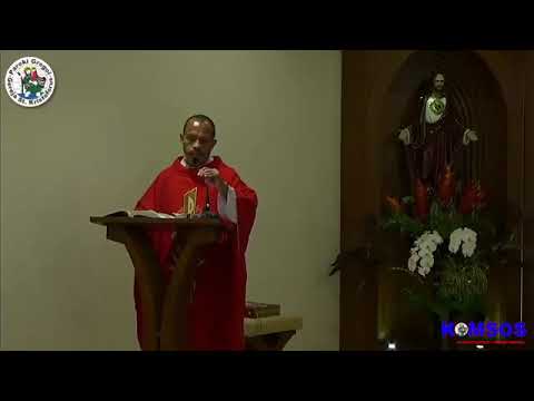Homili Romo Serfi Fangohoi MSC Romo Pparoki Grogol Gereja Santo ...