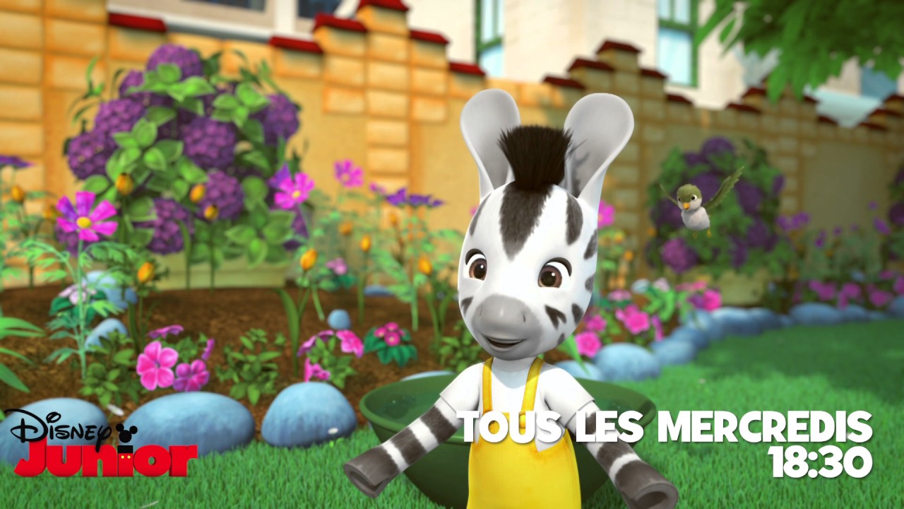 Zou - Tous les mercredis à 18h30 sur Disney Junior ! - YouTube