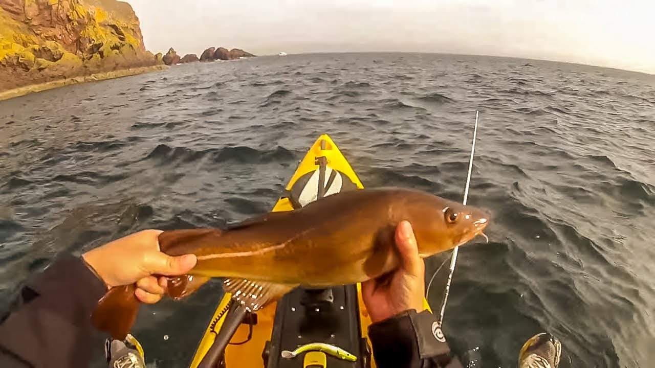 Kayak Fishing at St Abbs UK - Kelp Cod Fishing - GoPro - YouTube