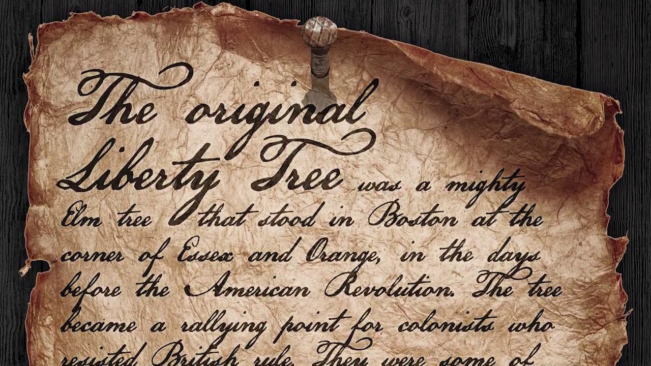 Liberty Tree The Original Liberty Tree - YouTube