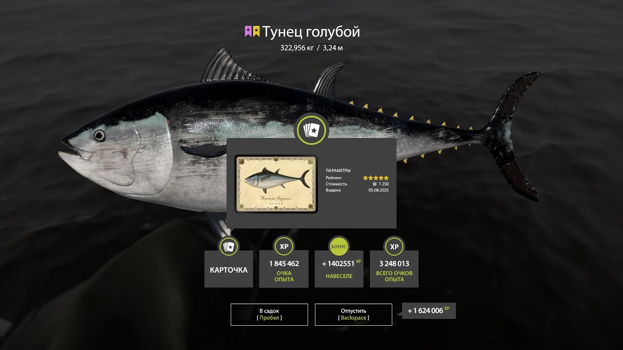 Russian Fishing 4 Trophy Atlantic Bluefin Tuna 322,956kg - YouTube