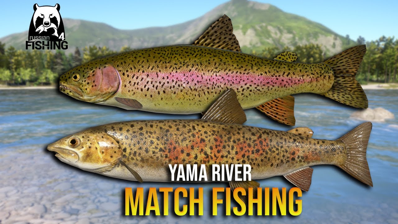 Yama River Match Spot (800 Silver) - Russian Fishing 4 - YouTube