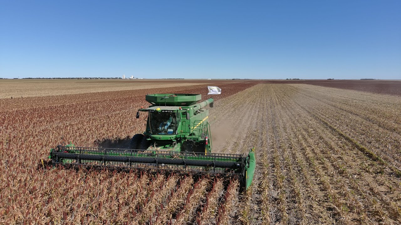 Milo Harvest 2021 Drone footage - AgVentures - YouTube