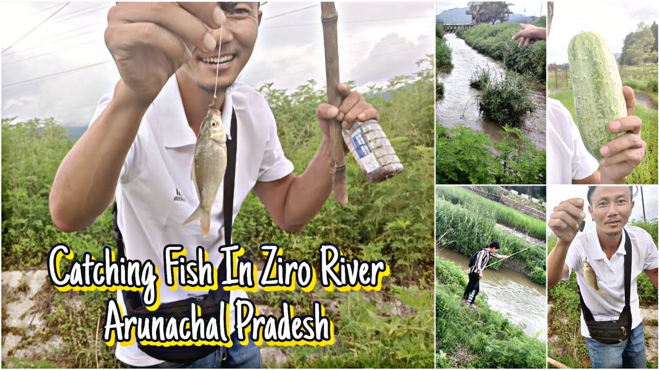 Catching fish in Ziro river | Arunachal Pradesh - YouTube