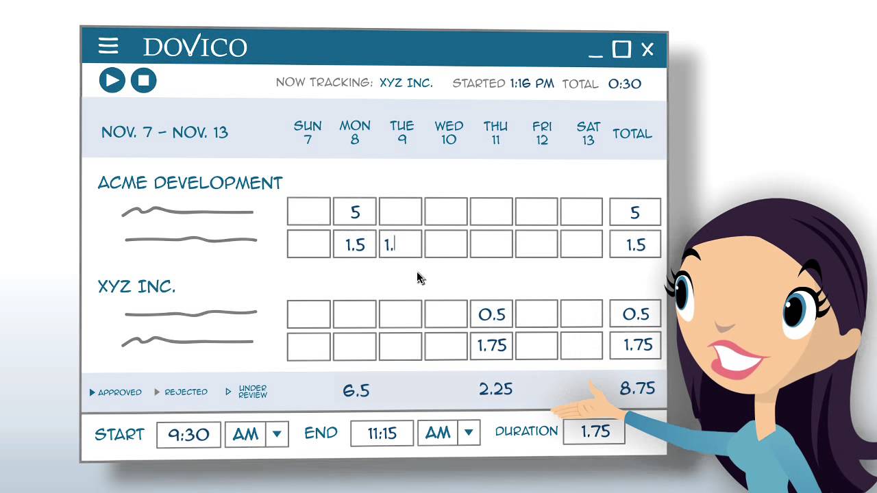Dovico Time Tracking Software - customizable for you! - YouTube