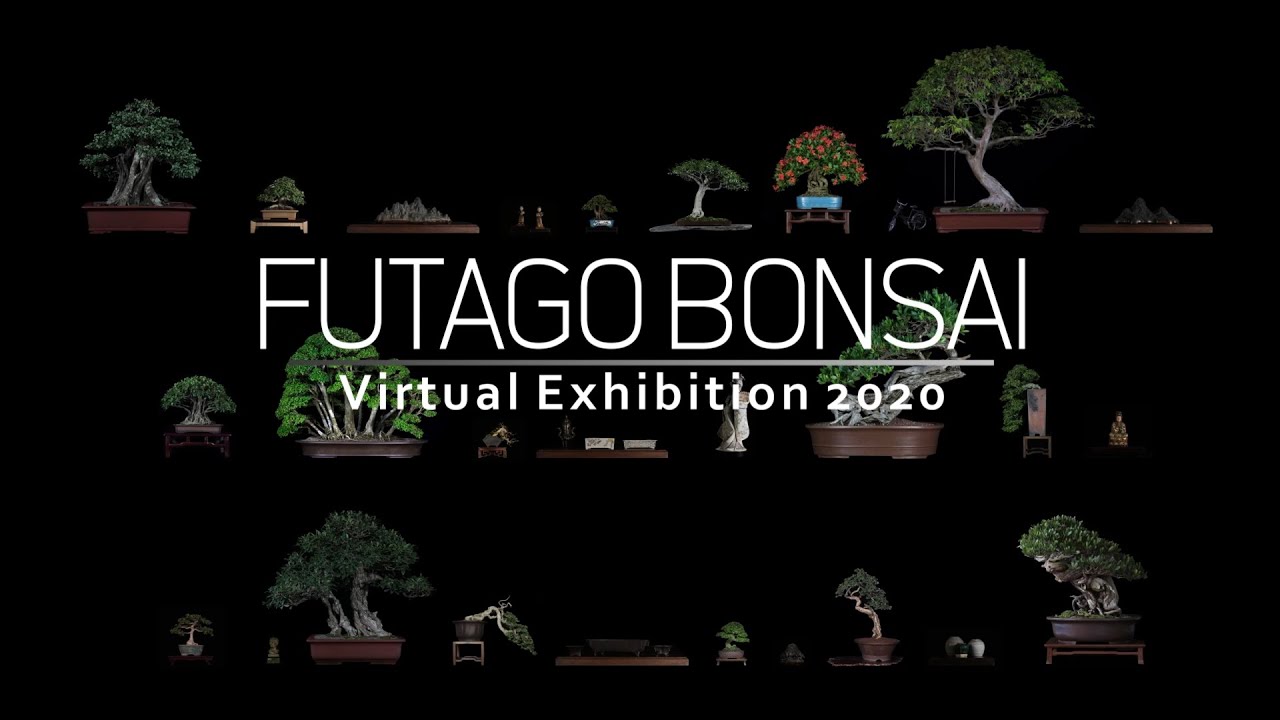 Futago Bonsai Virtual Exhibition - YouTube
