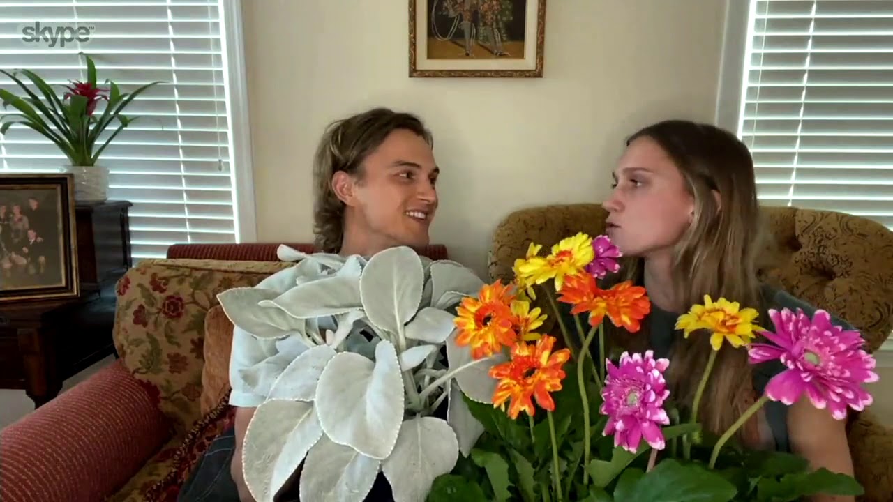Roberta's 4-Piece Senecio Angel Wings Succulent Foliage on QVC - YouTube
