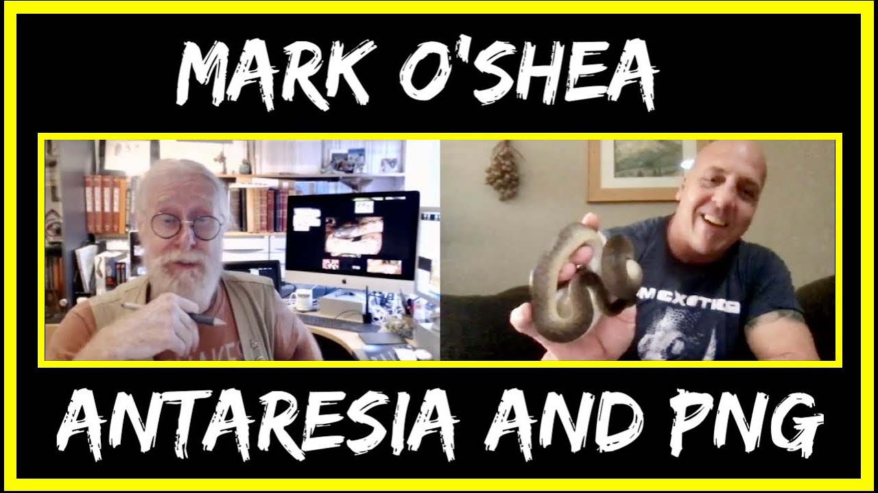 MARK O'SHEA | TALES OF PAPUA NEW GUINEA - YouTube