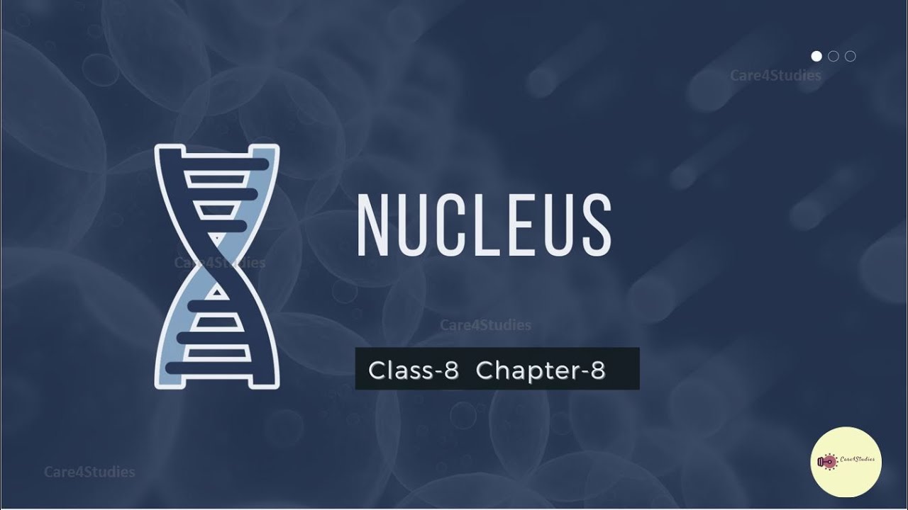 Nucleus | Chapter-8 | Cell Structure and Functions | Science | Class ...