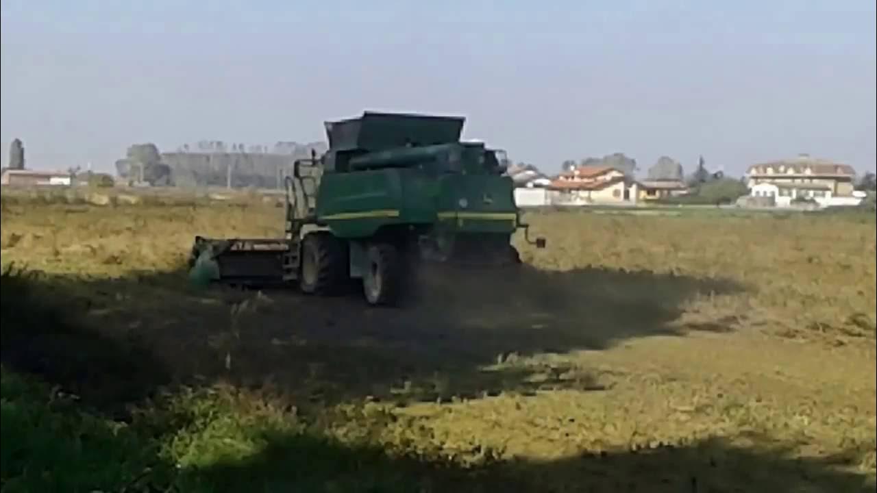 Trebbiatura soia con mietitrebbia john deere - YouTube