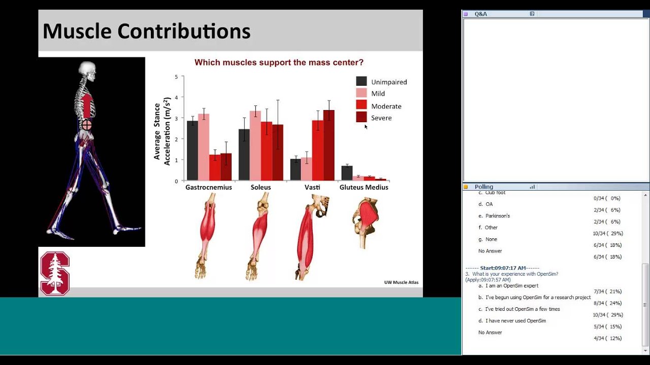 Using OpenSim to explore the mechanics of pathological gait patterns ...