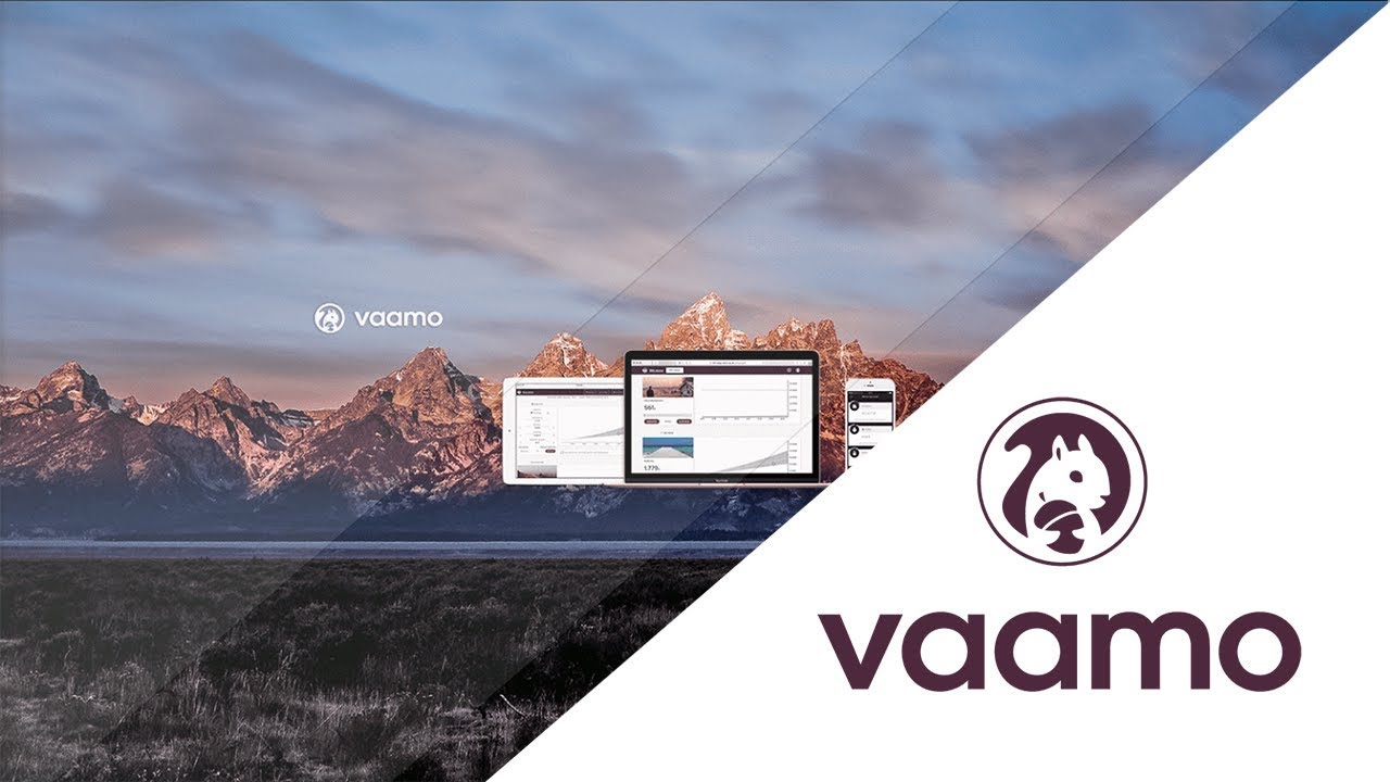 Das drastische Ende von Vaamo | Das Vaamo Investment Update #3 - YouTube