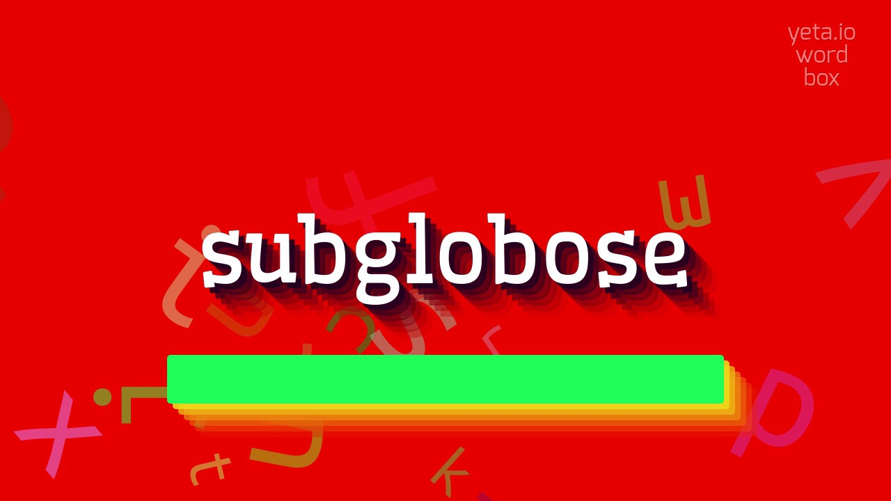How to say "subglobose"! (High Quality Voices) - YouTube