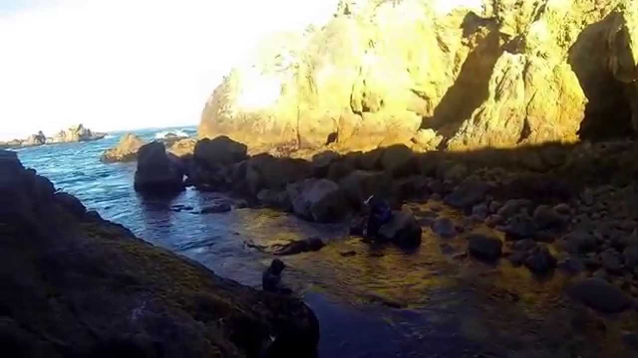 Abalone Diving Northern California - YouTube
