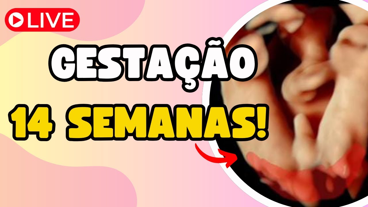 GESTAÇÃO DE 14 SEMANAS! - YouTube
