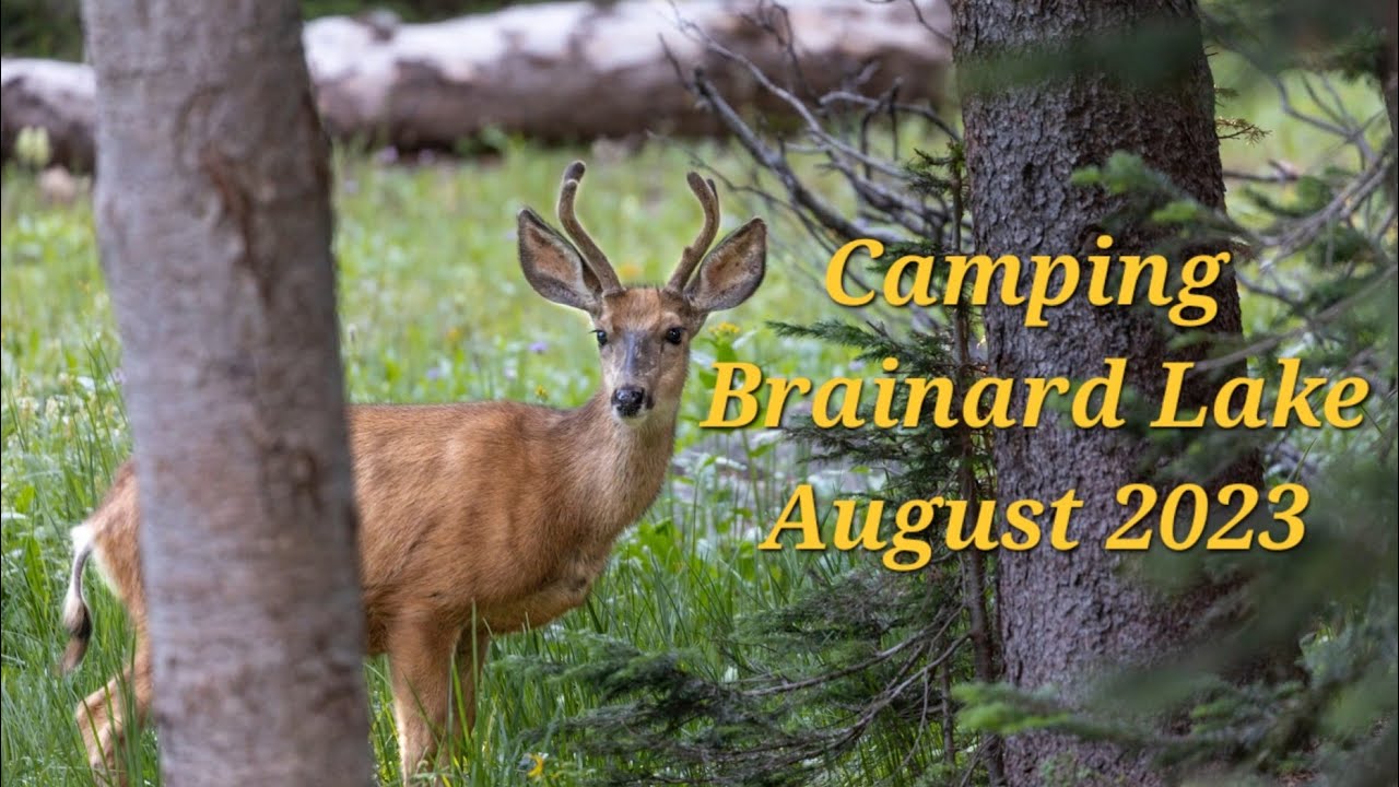 Overnight Camping at Brainard Lake 2023 - YouTube
